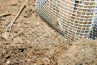 Replanting Fruit Trees, and Mitigating Vole Damage | Curbstone Valley